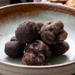 Home - Beaker Street Festival