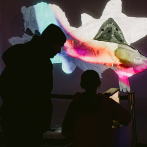 Science & Art in Tasmania - Beaker Street