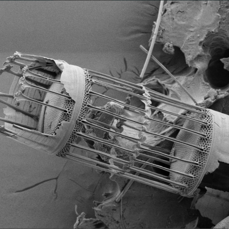 2023 Photography Prize - Beaker Street