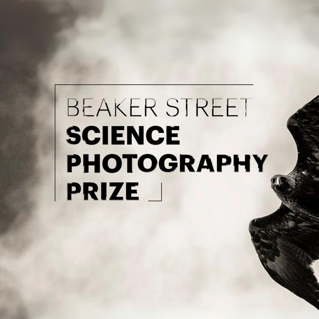 Content Library - Beaker Street